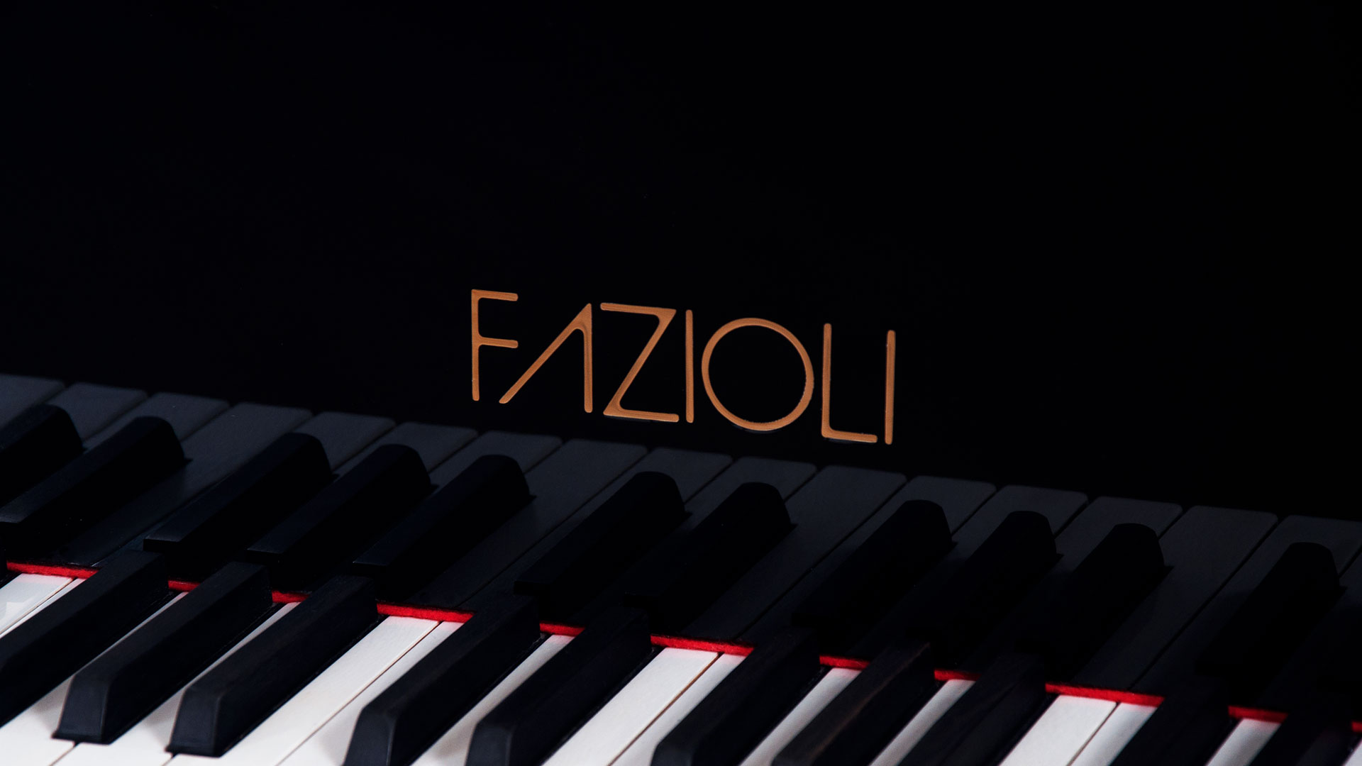 Fazioli Fluegel F 156 - Hieber Lindberg